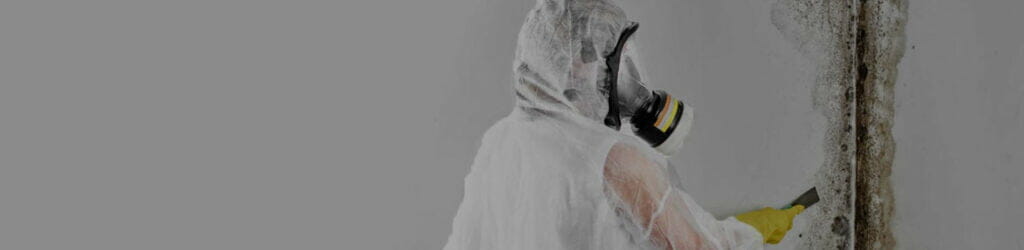 Mold Remediation Cost Guide | Price of mold removal Mold Remediation Cost Guide | Price of mold removal